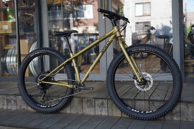 SURLY | MATTHEW CYCLE