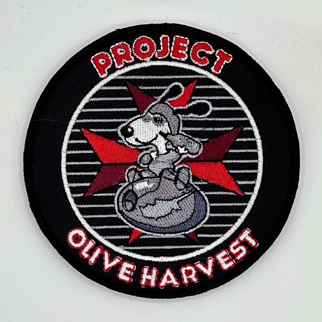 5th RECON SQ PROJECT OLIVE HARVEST | きなこ商店