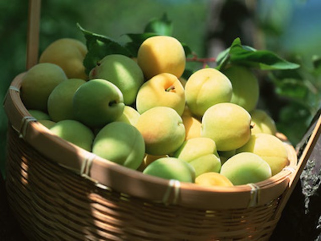 紀州産の梅と熊本産の黒酢を贅沢配合【梅肉のおかげ 黒酢のちから】 | hayabusamall