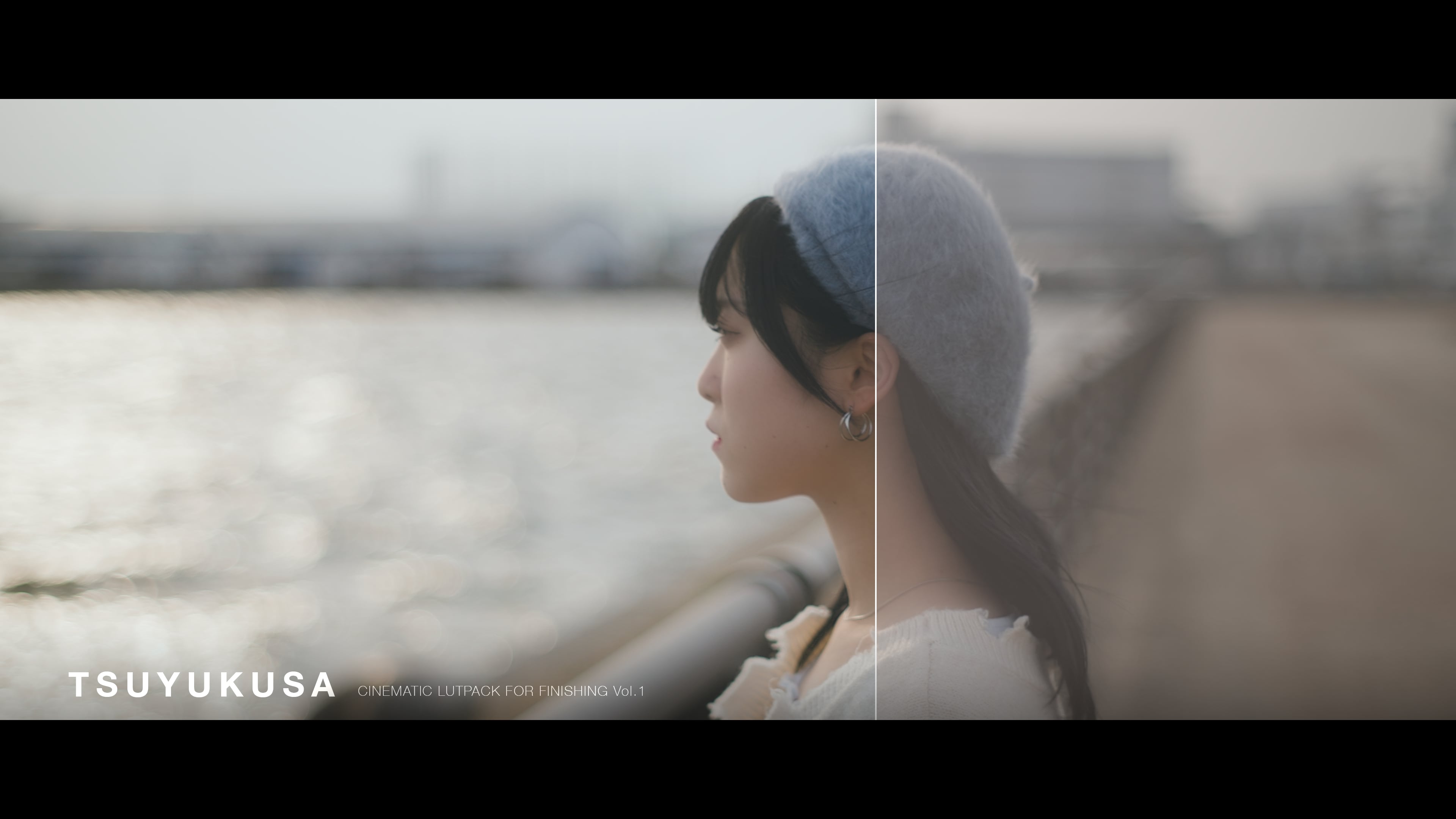 "CINEMATIC LUT PACK" for Finishing Vol.1 | DISPLAY