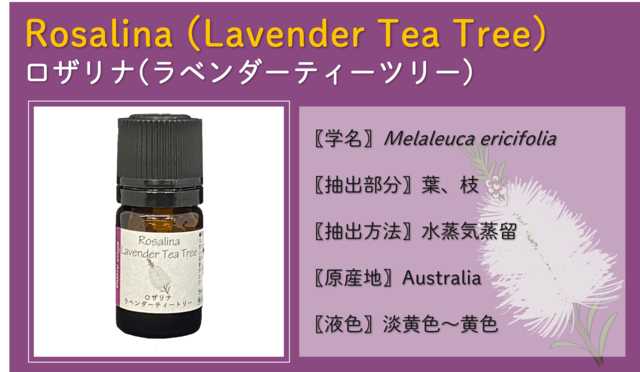 ロザリナ精油｜Rosalina Essential Oil (Lavender Tea Tree Essential Oil) | pln