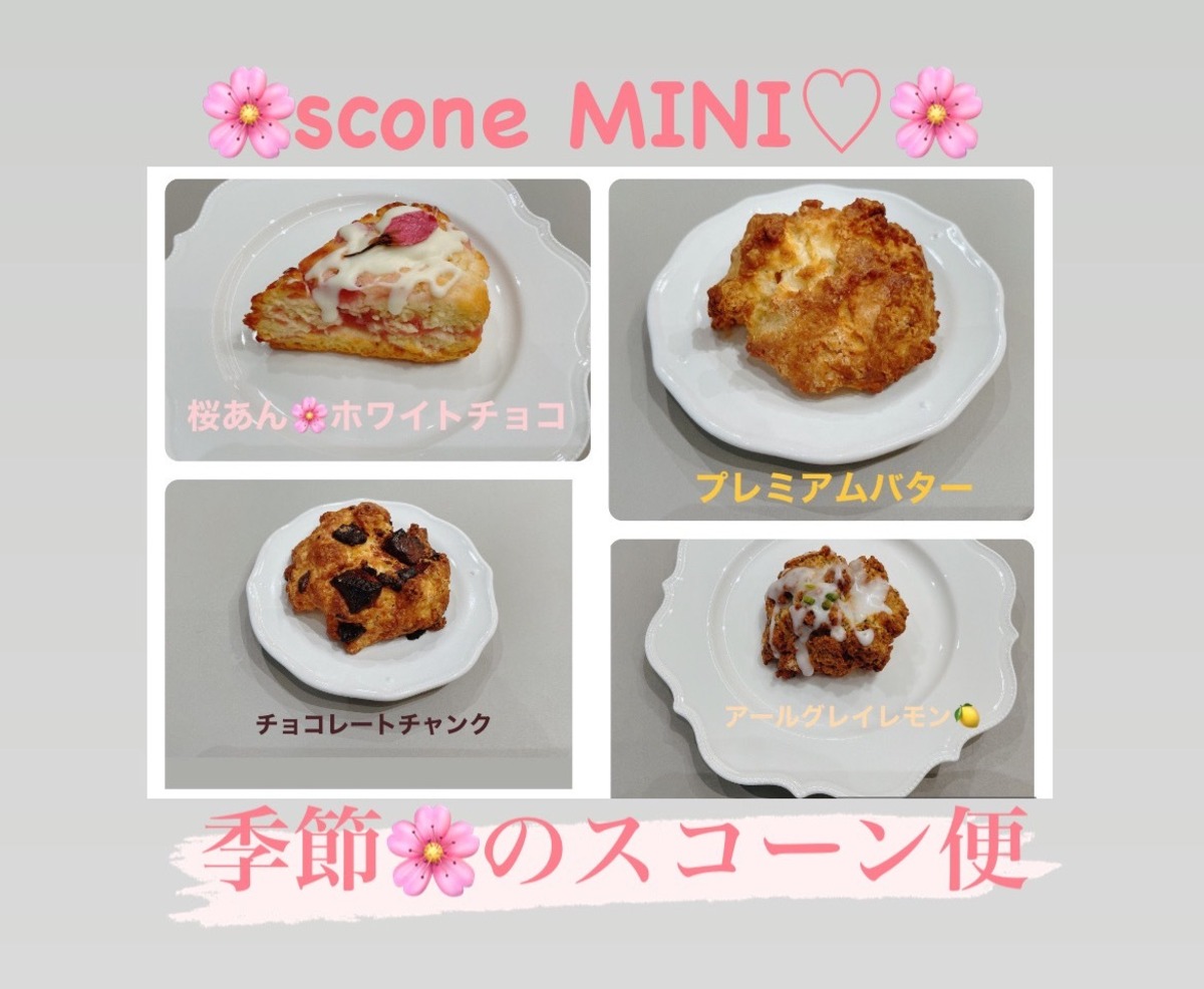 scone MINI 季節のスコーン4種7個セット | scone MINI
