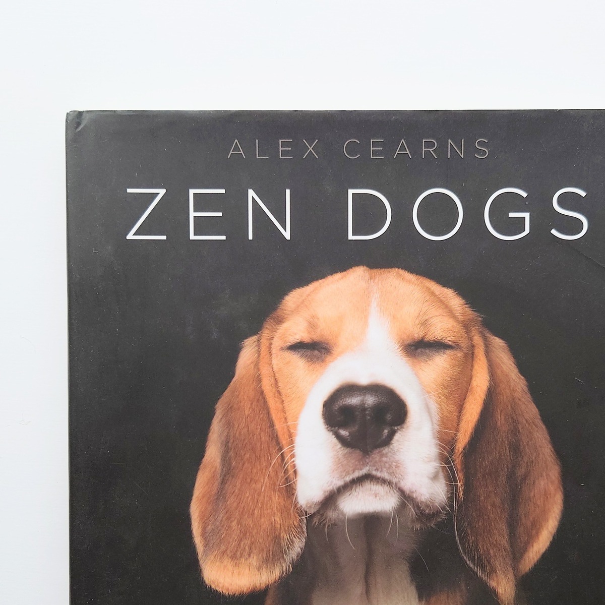 ZEN DOGS | イヌグラシ