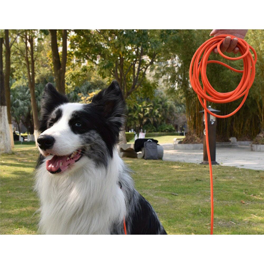 PVCリード 【1.5m】 | trespon