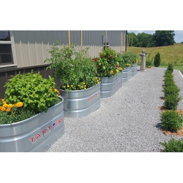 TARTER TANK No.4 : OVAL ULTRA 100 ターター タンク オーバル ウルトラ ストックタンク アメリカ アメリカン ...