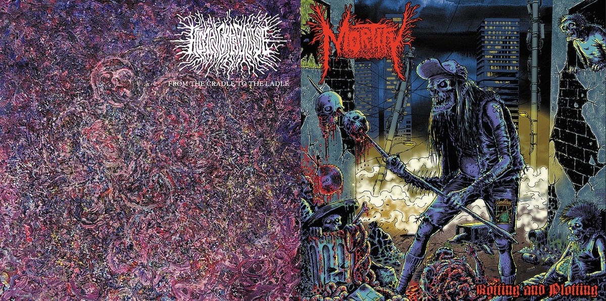 MORTIFY：HUMAN CORPSE ABUSE/split cd | RECORD SHOP CONQUEST/レコードショップコンクエスト