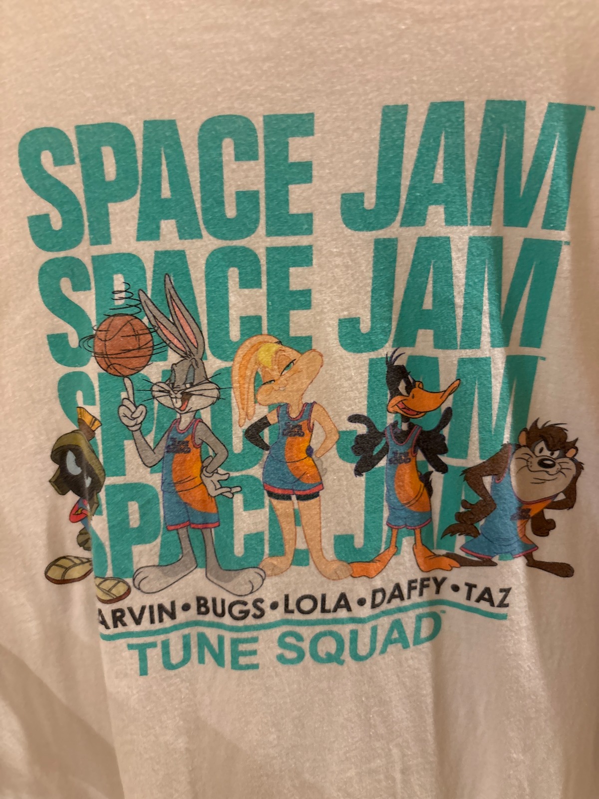 2枚 TKさん ルーニーテューンズ ワイルドスピード | MAHOROBA