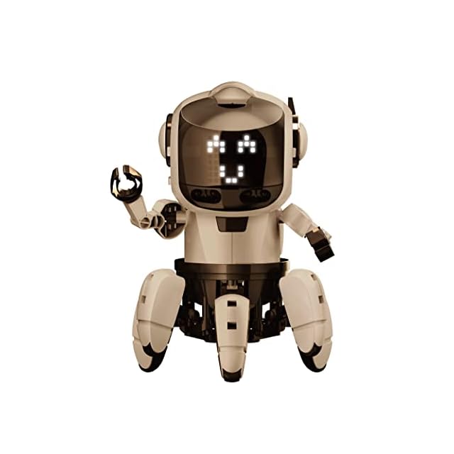 Homwarm トランポリン 室内 大人用 静音 エクササイズ 家庭用 省