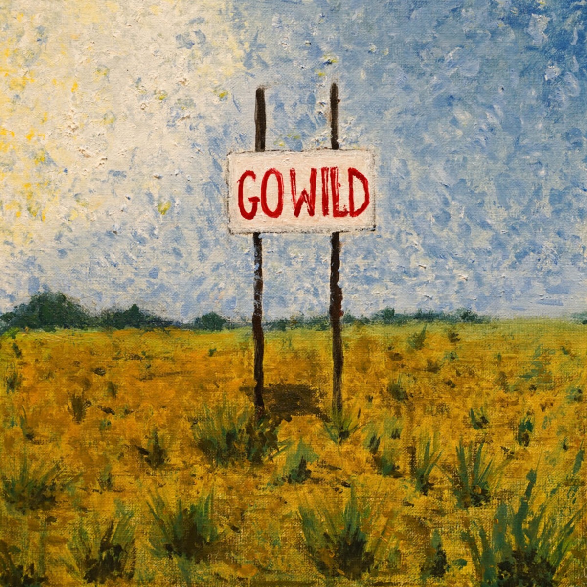 【CD(distro)】Muddy Days / 「GO WILD」 | PAPER MADE SHELL RECORDS