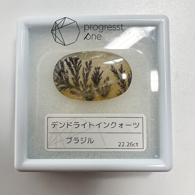 デンドライトインクォーツ22.26ct | progresstone