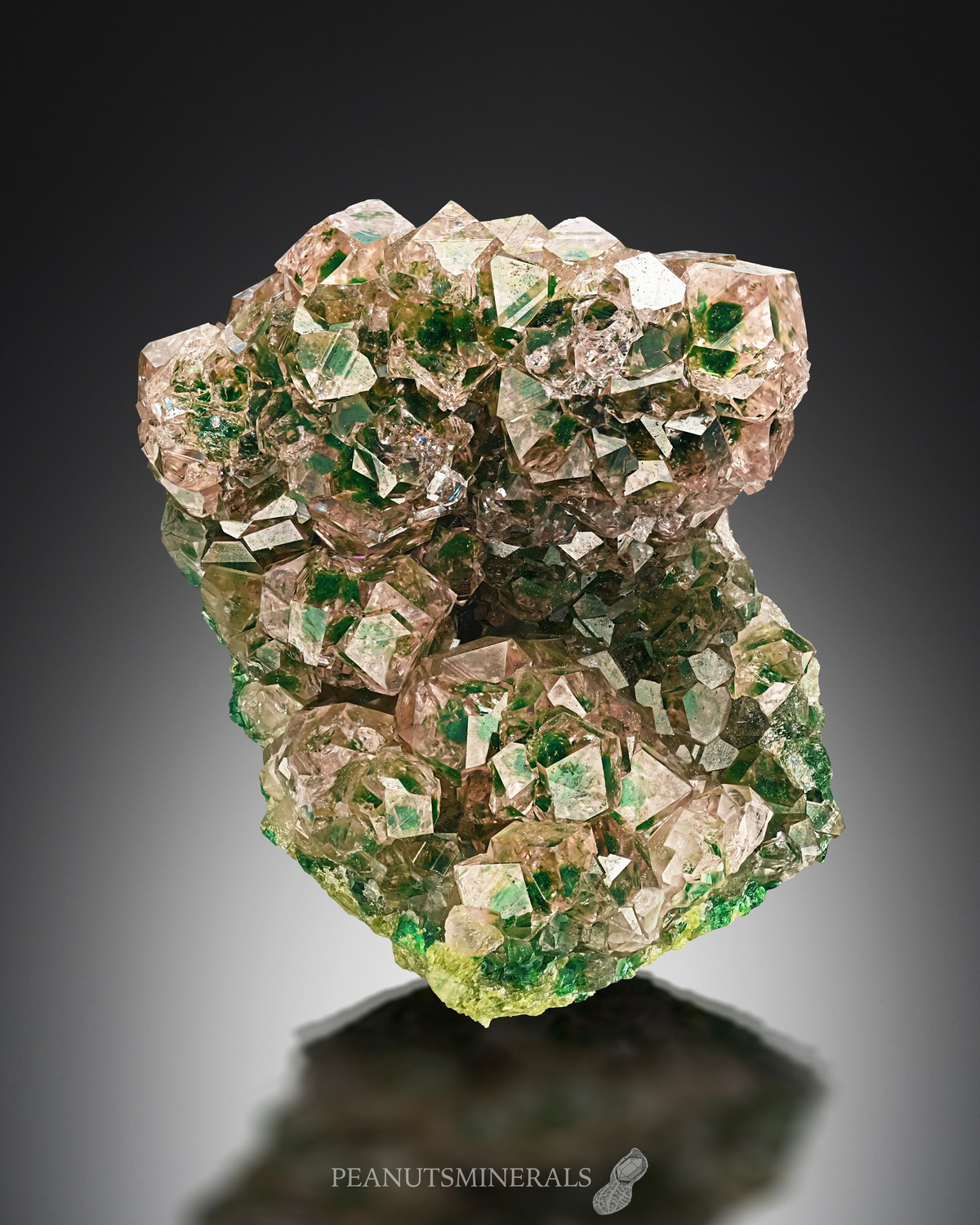 クロムグロッシュラー【Chrome Grossular】カナダ産 | PEANUTS MINERALS