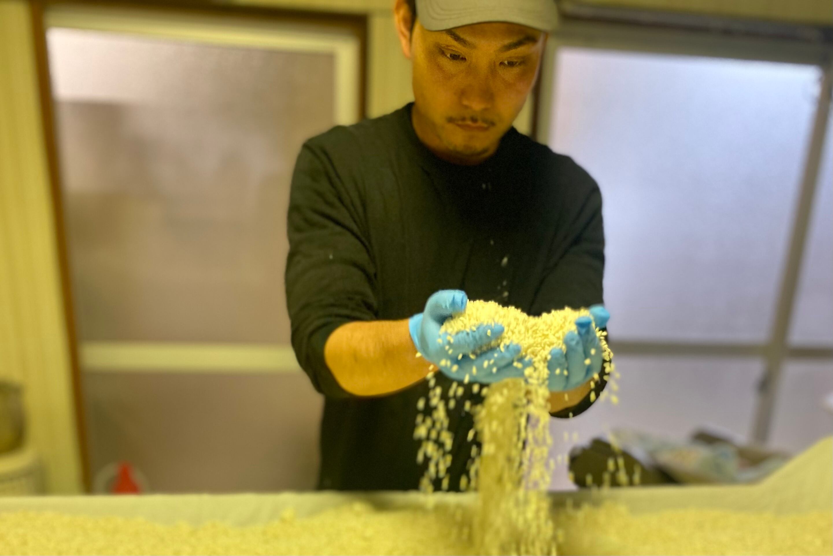 麹から仕込んだ 塩麹 | ONE BEANS