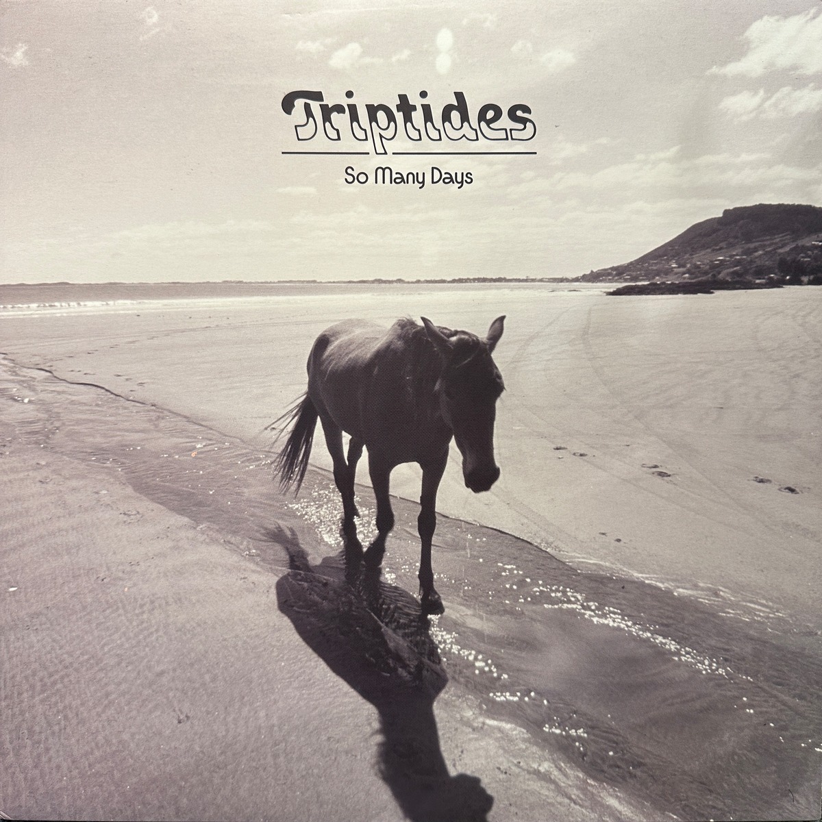 【LP】TRIPTIDES/So Many Days | SORC 中古アナログレコード専門店