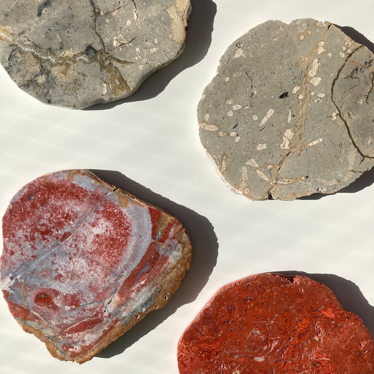 JASPER COASTER | GOOD LIFE STORE