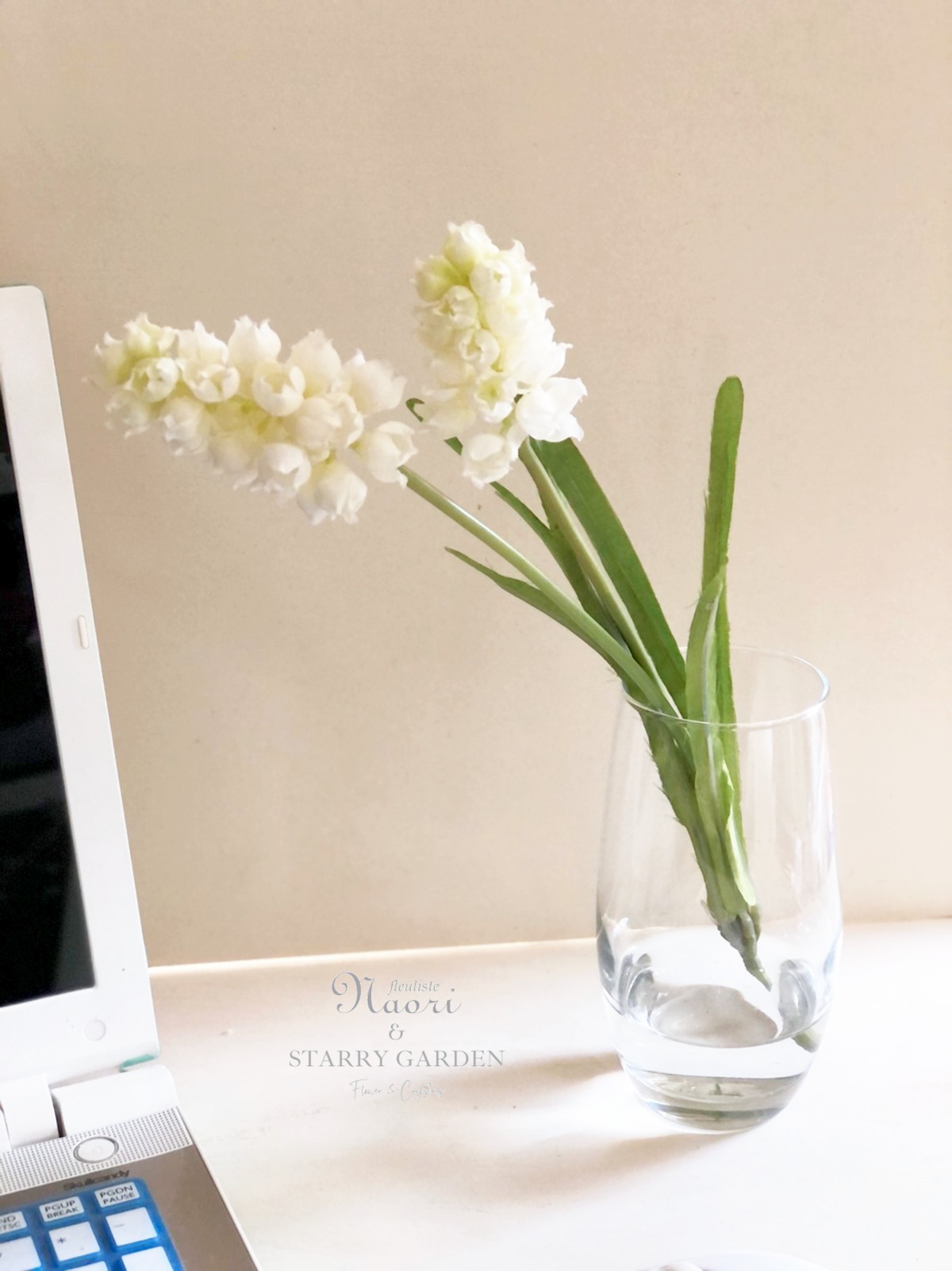 ムスカリの一輪挿し お水がいらないフラワーインテリア | NAORI & STARRY GARDEN ナオリ＆スターリィガーデン