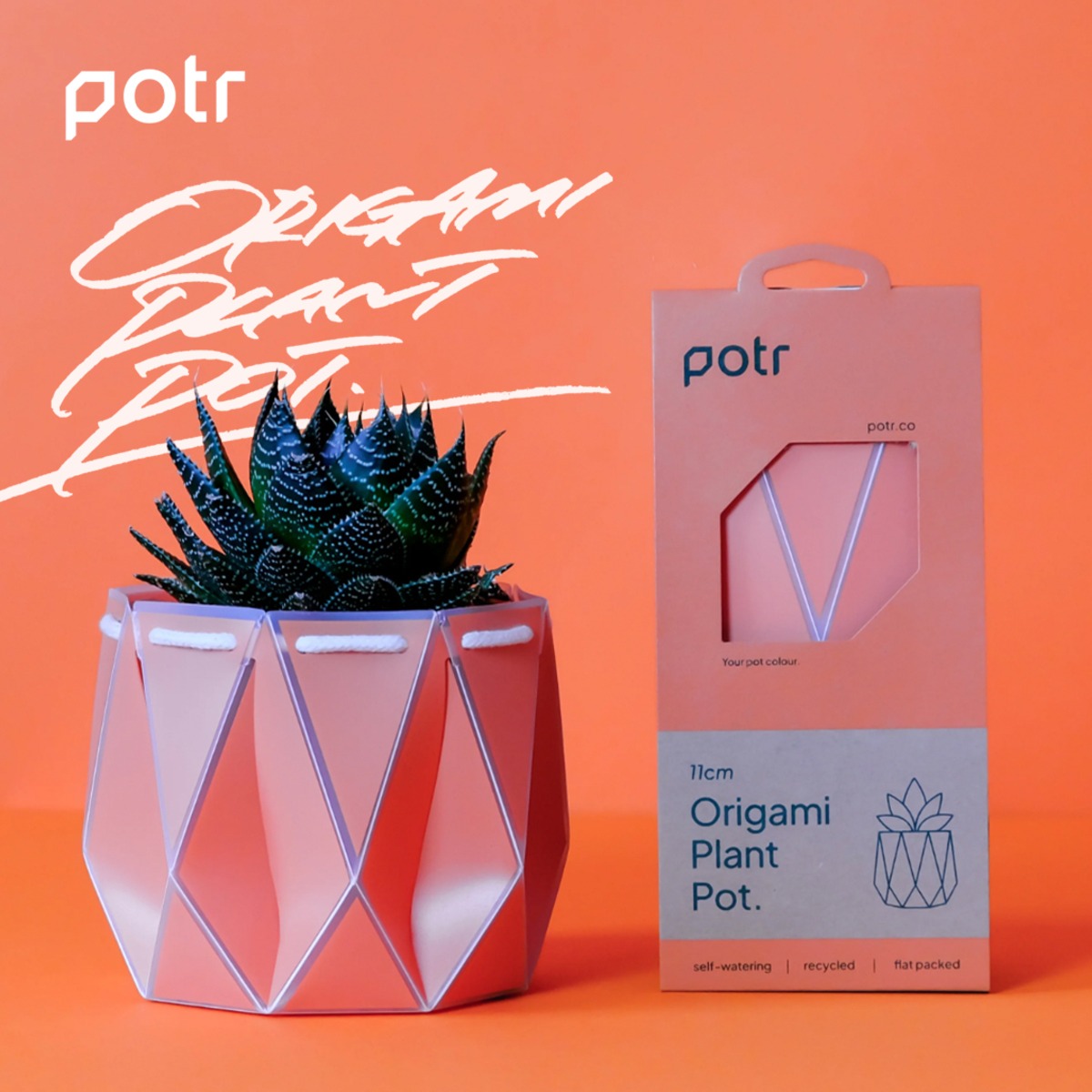 potr／POTR Pot（11cm） | WHATNOT HARDWEAR STORE
