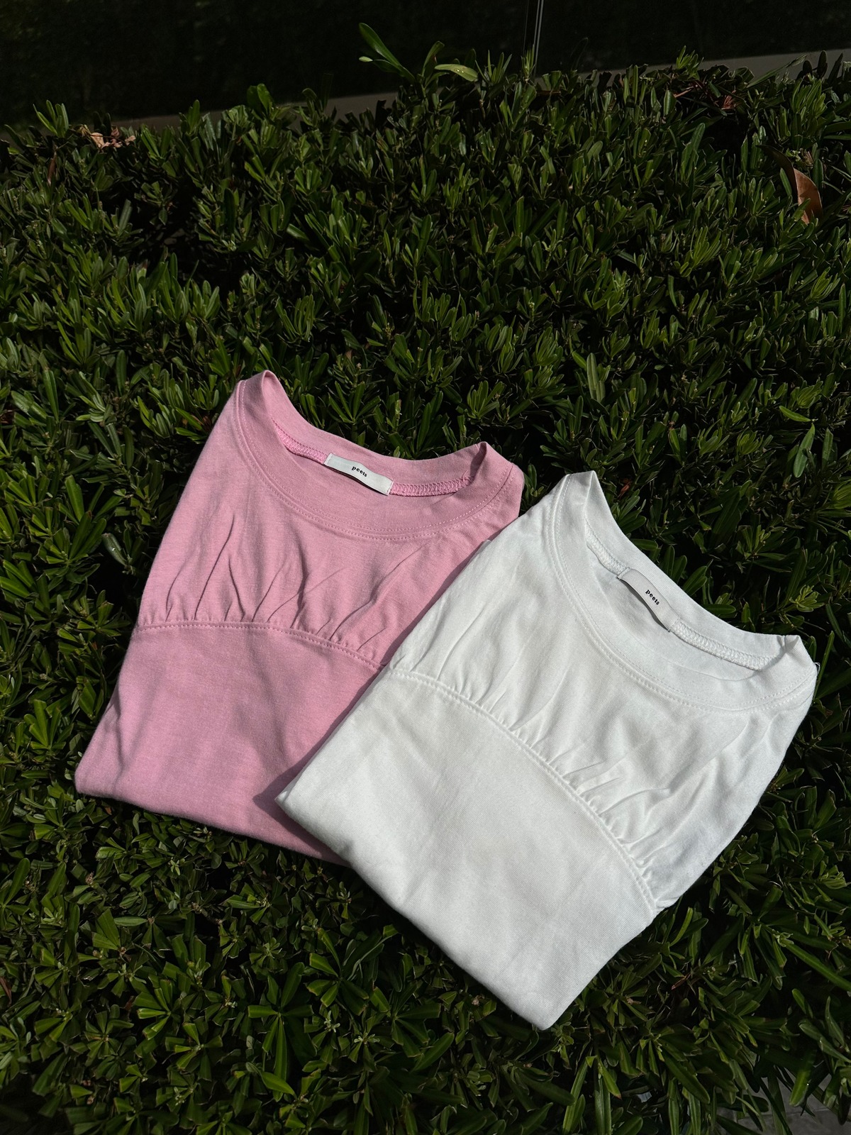 Gather T shirts | meme