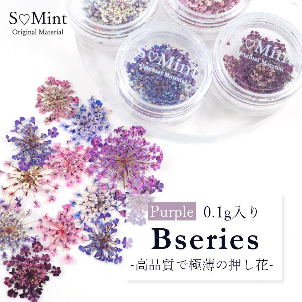 Bシリーズ[Purple] 0.1g入り | smint