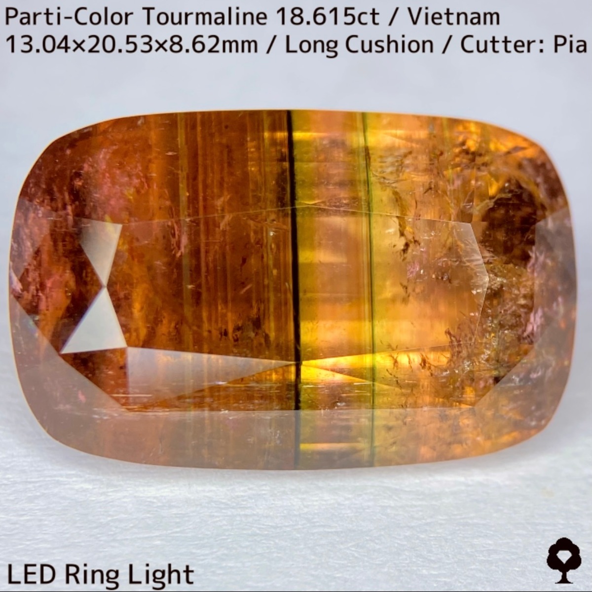 Parti-Color Tourmaline 18.615ct / Vietnam | GemTreeJapan BASE Shop