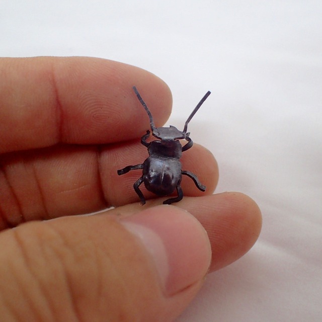 Exechesops leucopis／エゴヒゲナガゾウムシ（ウシヅラヒゲナガゾウムシ） | tagaya