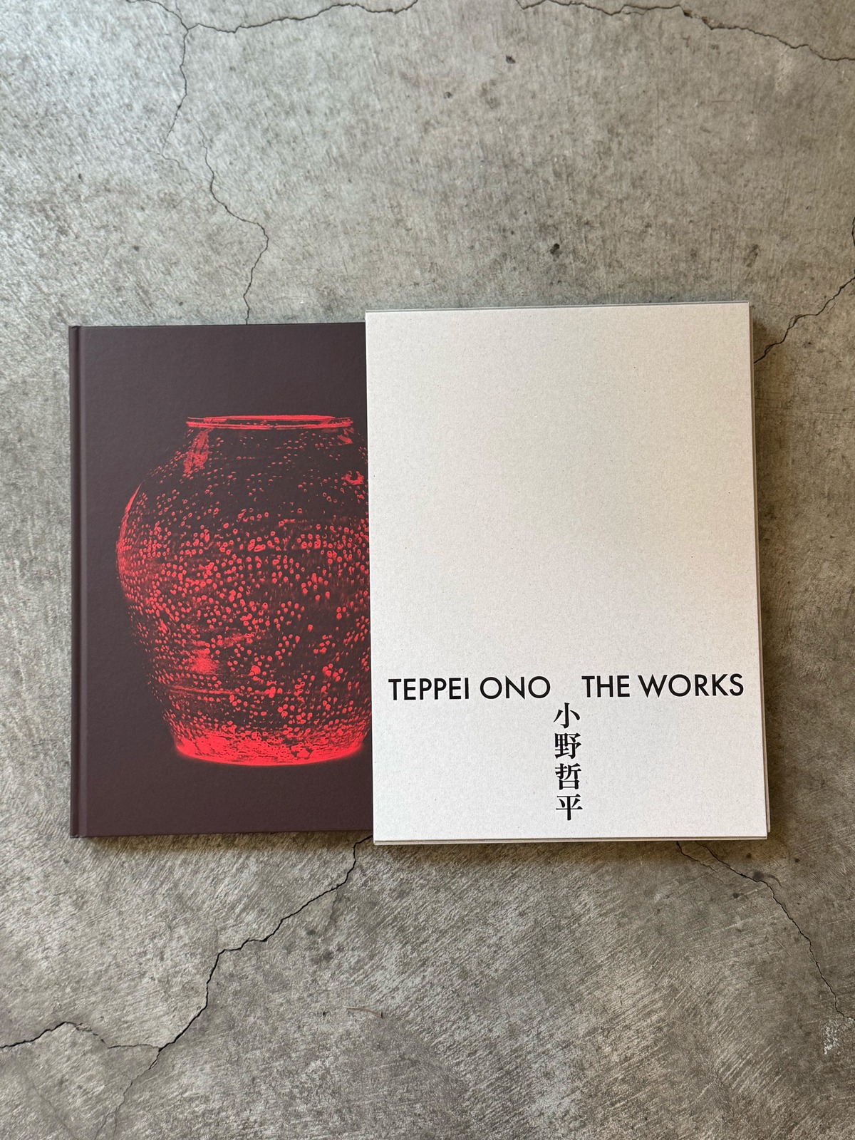 TEPPEI ONO: THE WORKS 小野哲平 | まちのシューレ963 STORE