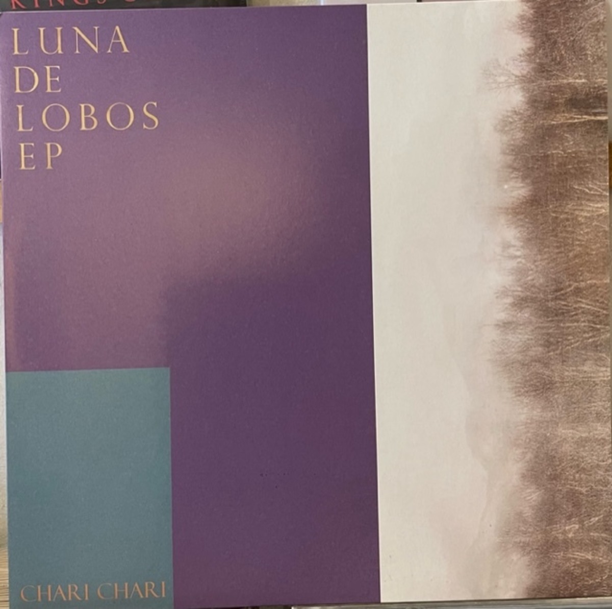CHARI CHARI "LUNA DE LOBOS EP" 12" | EAD RECORD