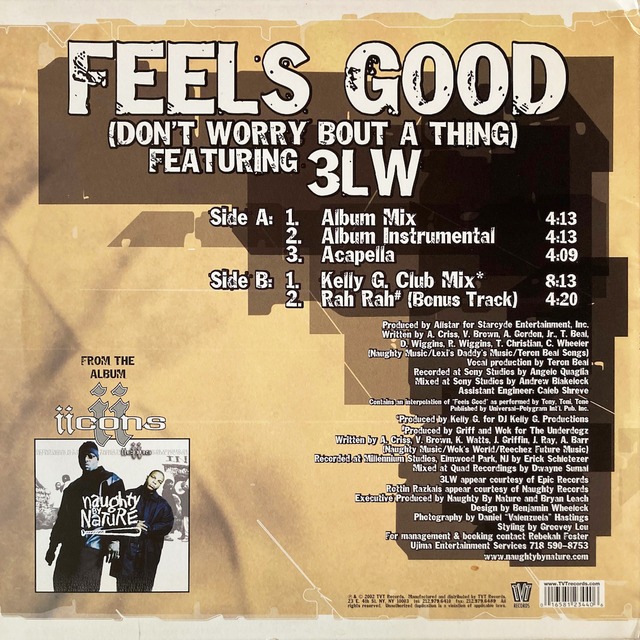【Used / 12"】 NAUGHTY BY NATURE / Feels Good | AgriTribeMusic - NEW / Used Records Store