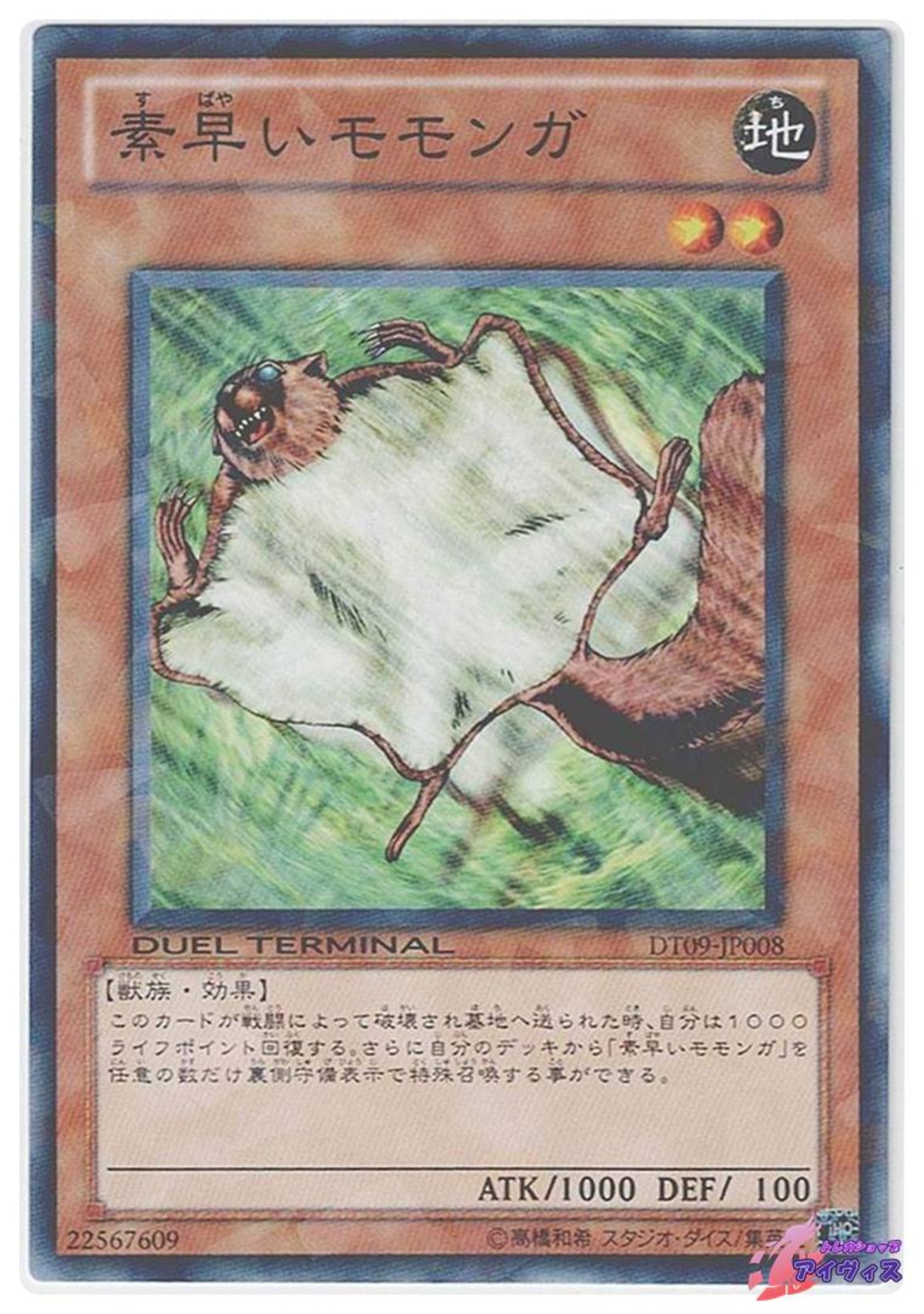 素早いモモンガ [ノーパラ] [ランクB] [DT09-JP008] [遊戯王] | トレカショップアイヴィス【遊戯王シングル販売】