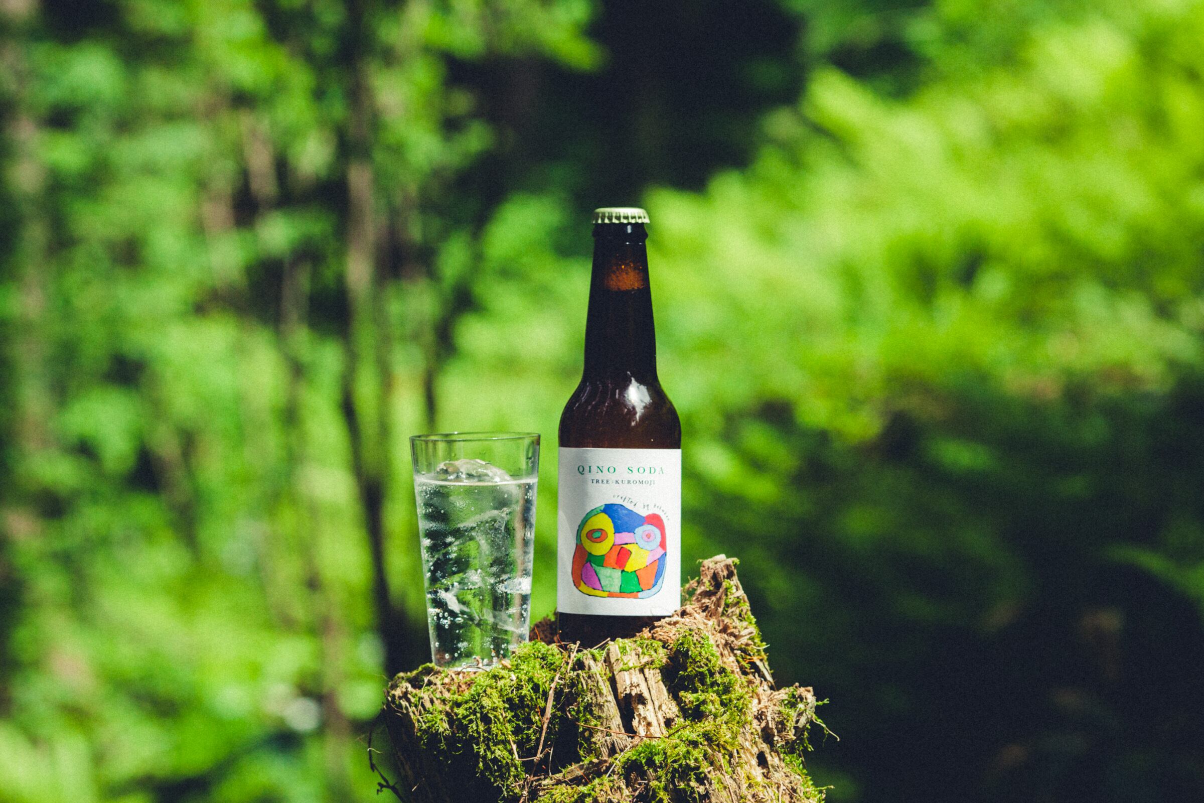 QINO SODA（キノソーダ）6本入り｜fabriq｜石川県白山市 | TURNSのおすすめ商品の通販／ECならTURNS商店