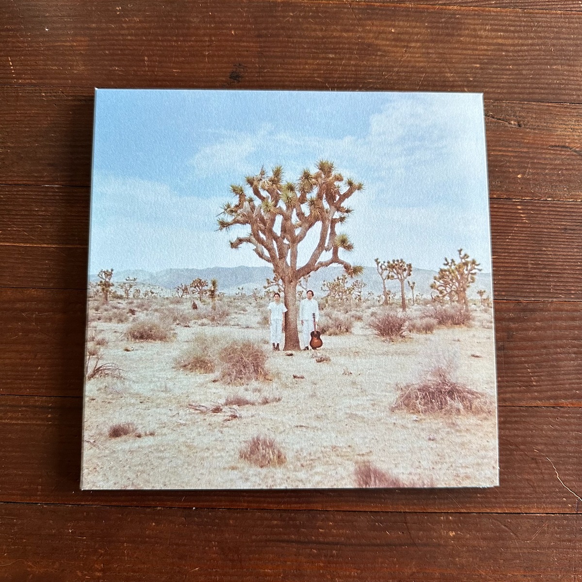 LUCA & There is a fox / Dancers（CD） | night cruising