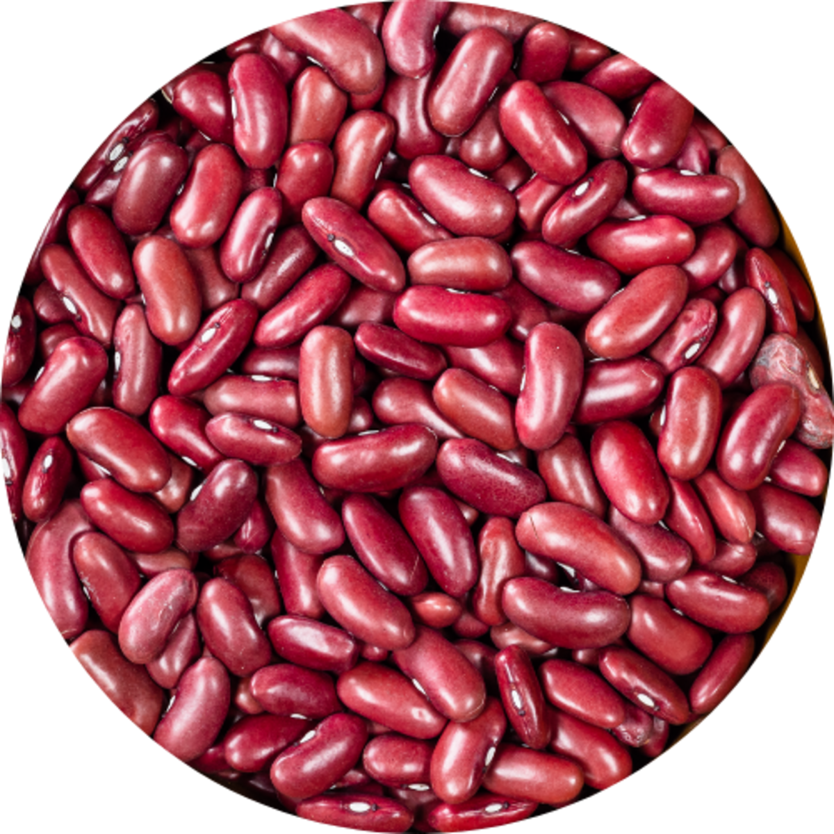 RED LOBIA 500g | 輸入スパイス販売ヒマラヤ貿易 HIMABOU