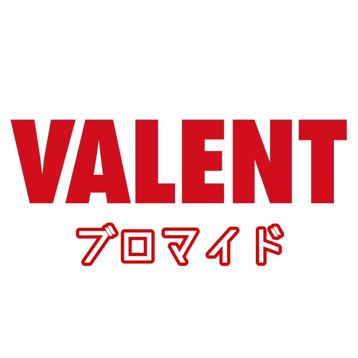 郵送専用『VALENT』ブロマイド | E-StageSHOP