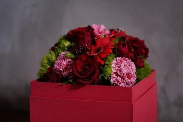 Matilda Flower CONTENA【aka × aka】M | Matilda