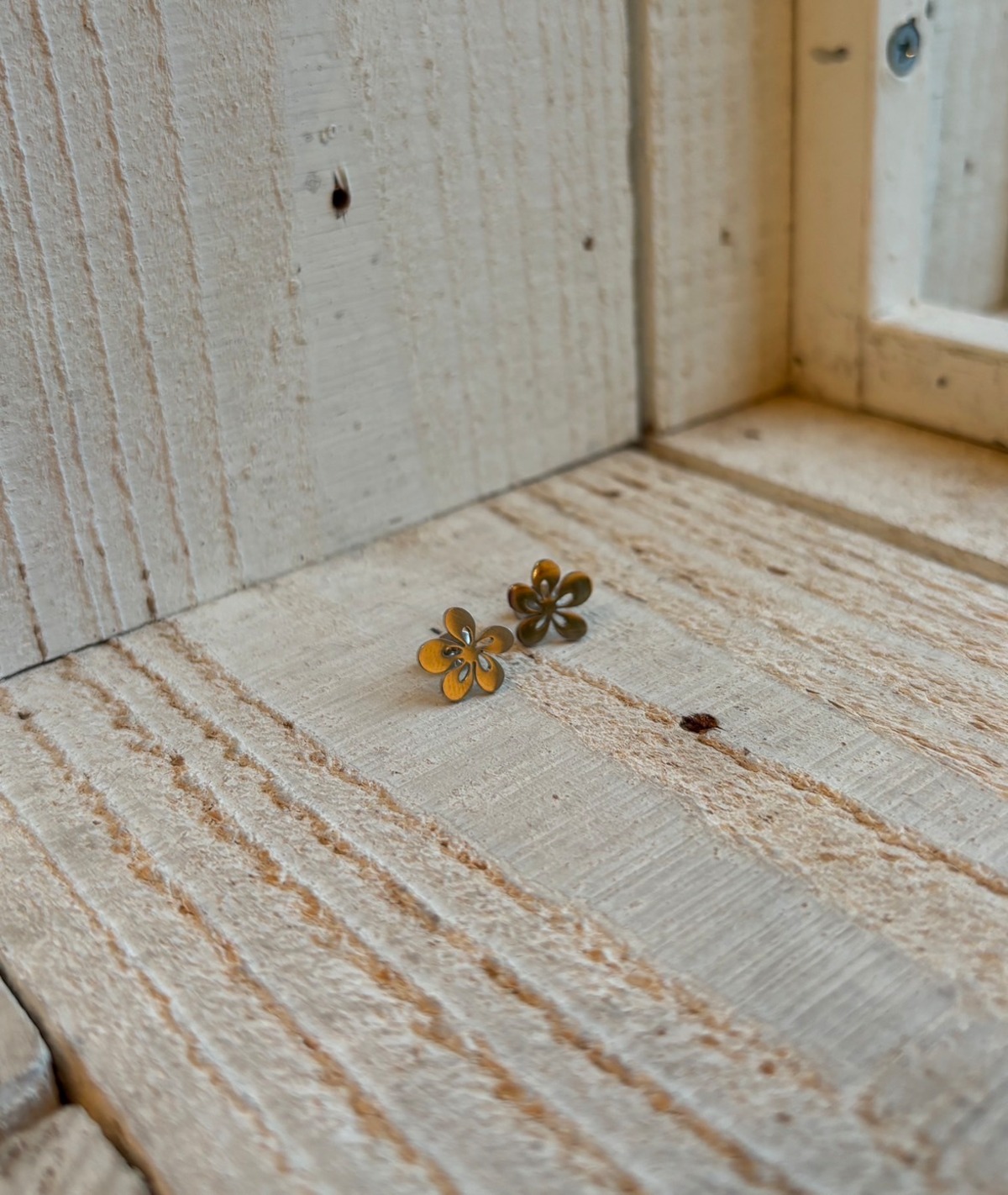 Gentle bloom | Sandy Bloom