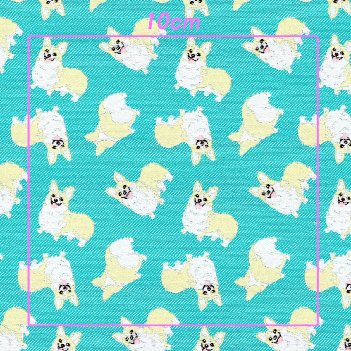 生地 コーギー ターコイズ 幅73cm×1m | iruyo