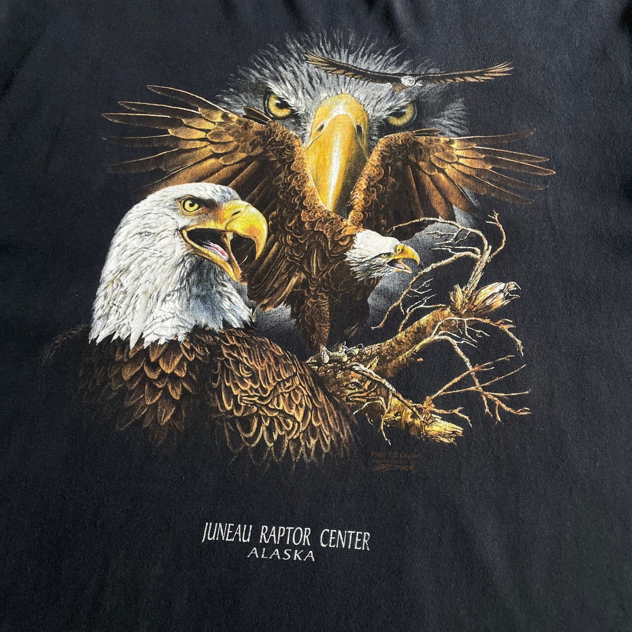90年代 Juneau Raptor Center 猛禽類リハビリセンター イーグル 鷹 アニマルプリント Tシャツ メンズXL 古着 90s ...