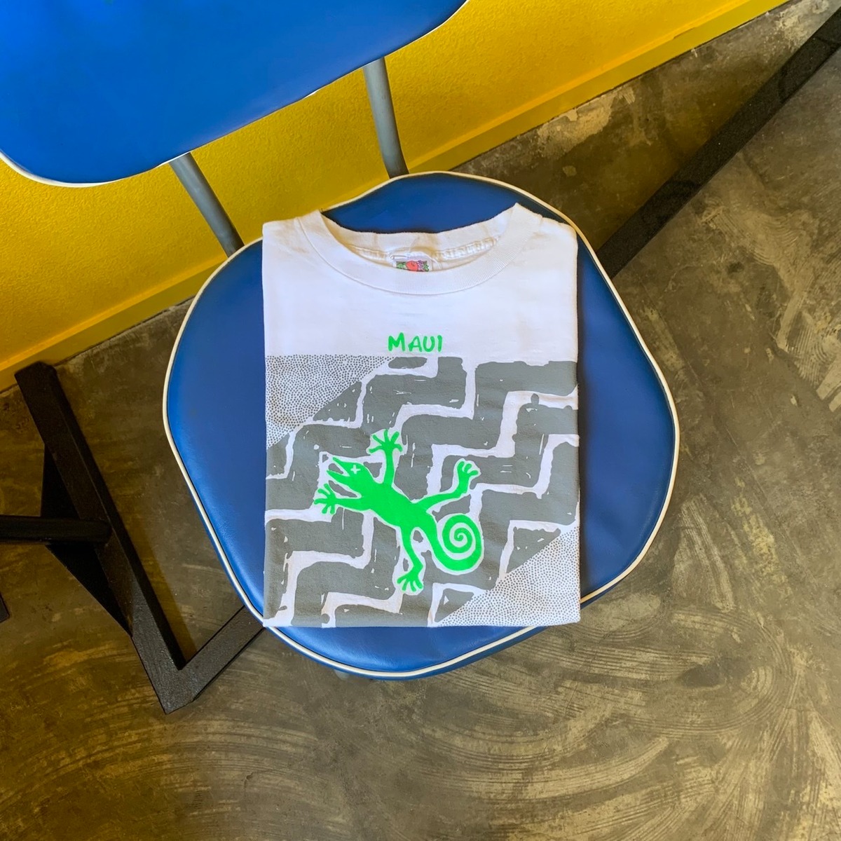 printed T-shirt FRUIT OF THE LOOM "MR. GECKO DIDN'T LOOK BOTH WAYS." | MOON