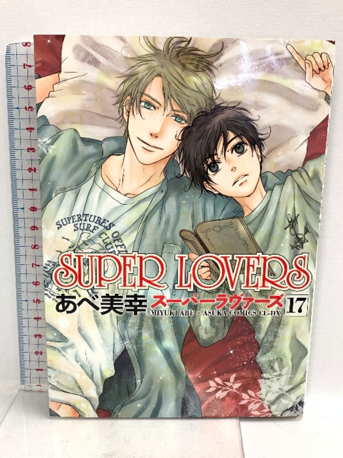 初版 SUPER LOVERS 第17巻 KADOKAWA あべ 美幸 | WORLD BOOKS