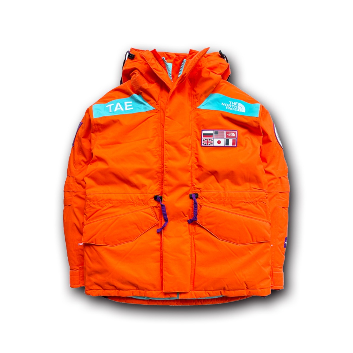 THE NORTH FACE / Trans-Antarctica Expedition Parka | HOLICK