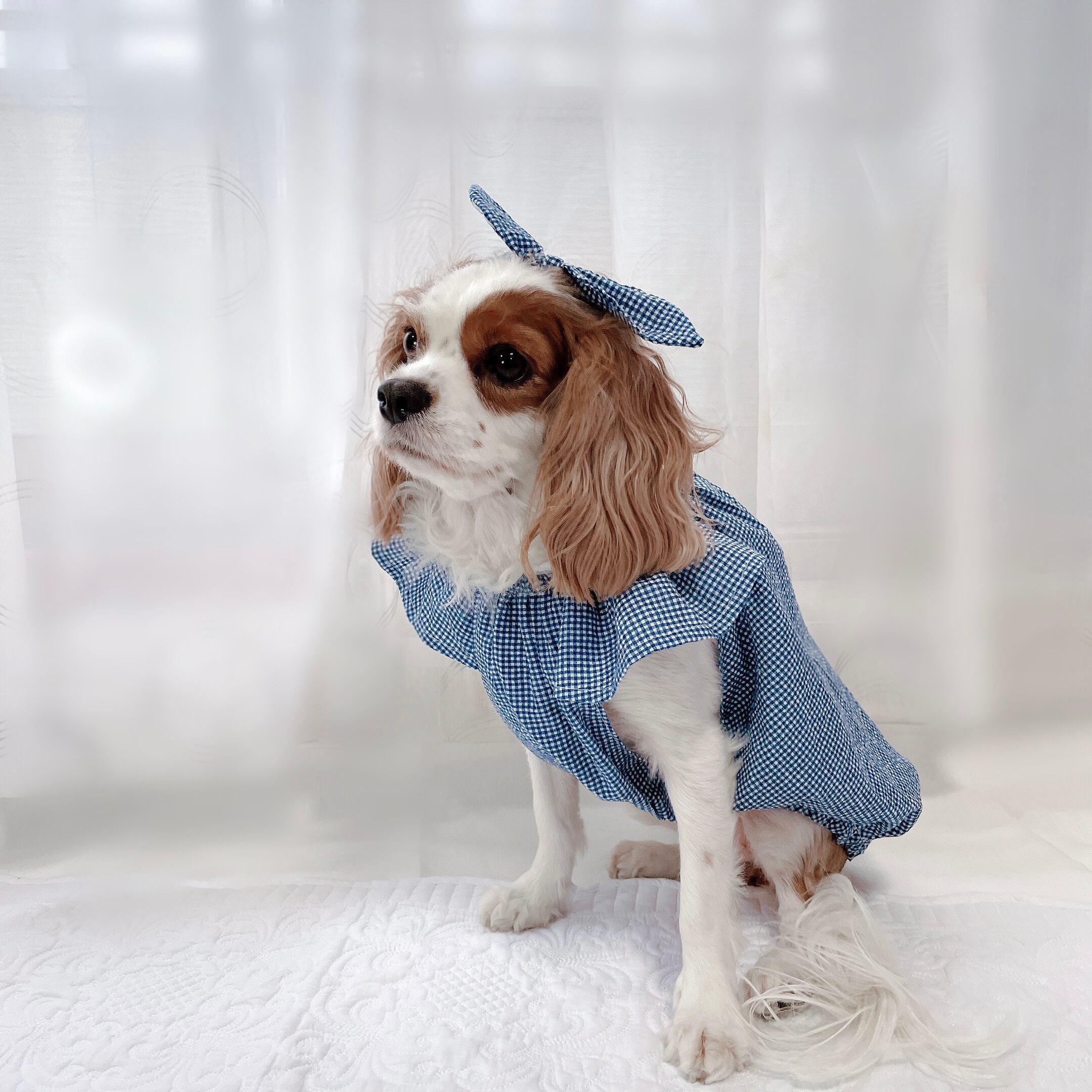 フレアー袖スモック Sサイズ | chappy&choco factory