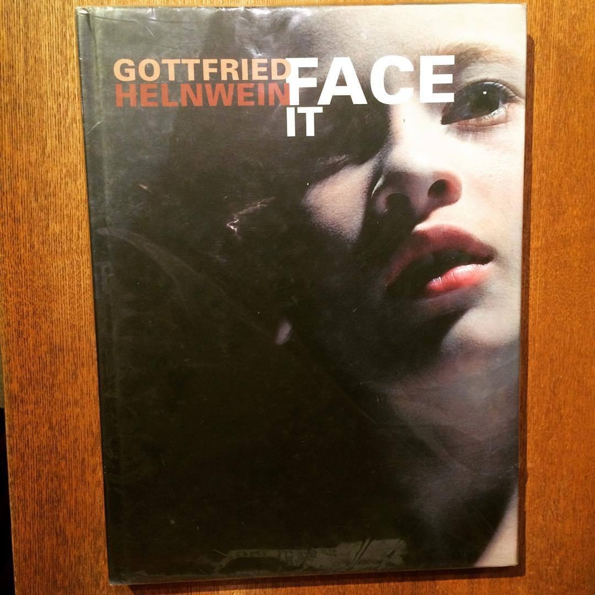 ゴットフリート・ヘルンヴァイン画集「Face It／Gottfried Helnwein」 | 古本トロニカ 通販オンラインショップ | 美術 ...