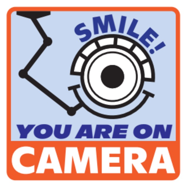 Drive recorder sticker ② | watamo