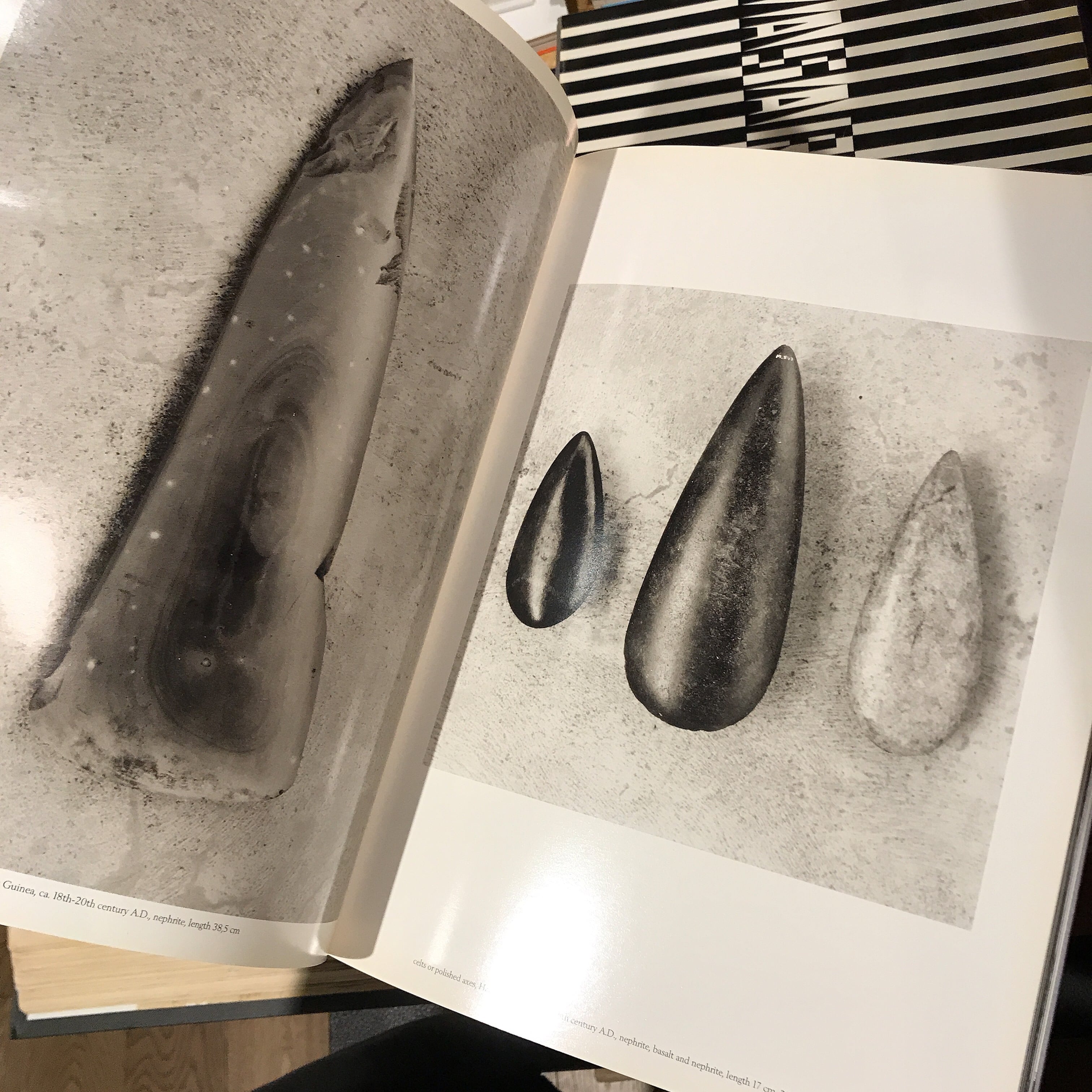 TERRAZZO, Fall 1992 / Barbara Radice | 百年