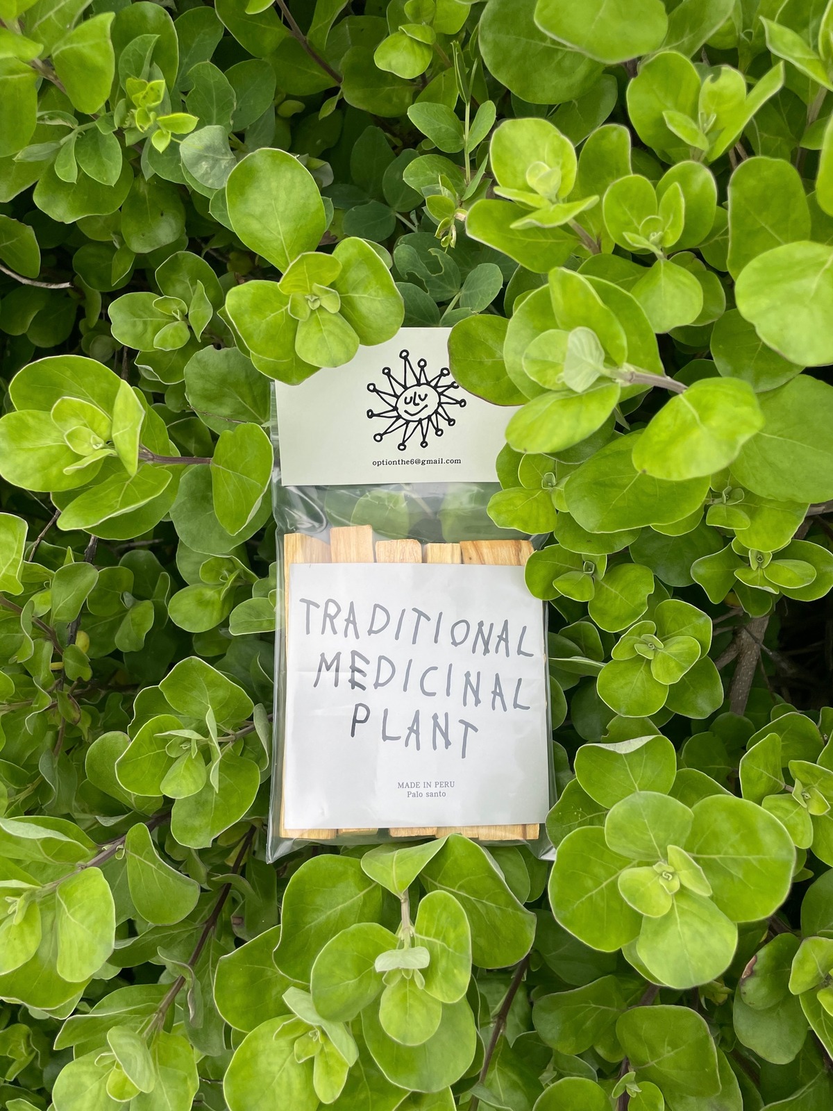 TRADITIONAL MEDICINAL PLANT 【Palo santo】 | kawaso_the_shop