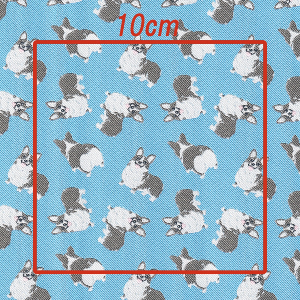 生地 コーギー (黒)ブルー 幅73cm×1m | iruyo