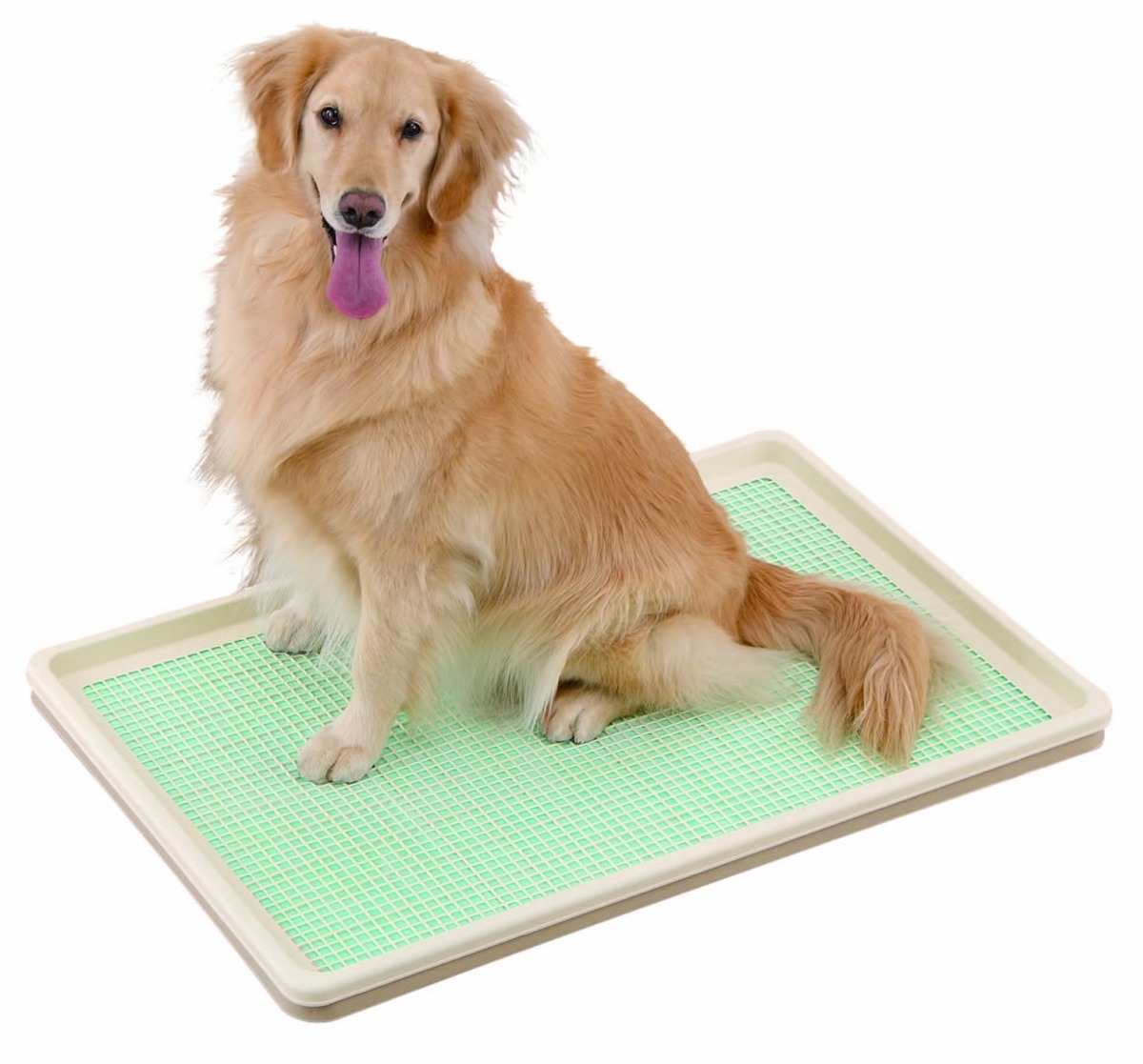 【人気商品】ボンビアルコン (Bonbi) しつけるトレー XL メッシュタイプ Pp | LIFESELECT