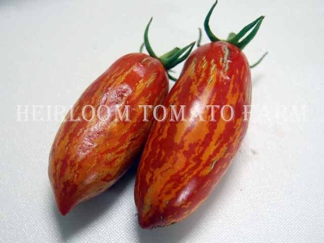 Heirloom Tomato® Boxer Rebellion エアルーム・トマト・ボクサー・レベッリオン | Heirloom ...