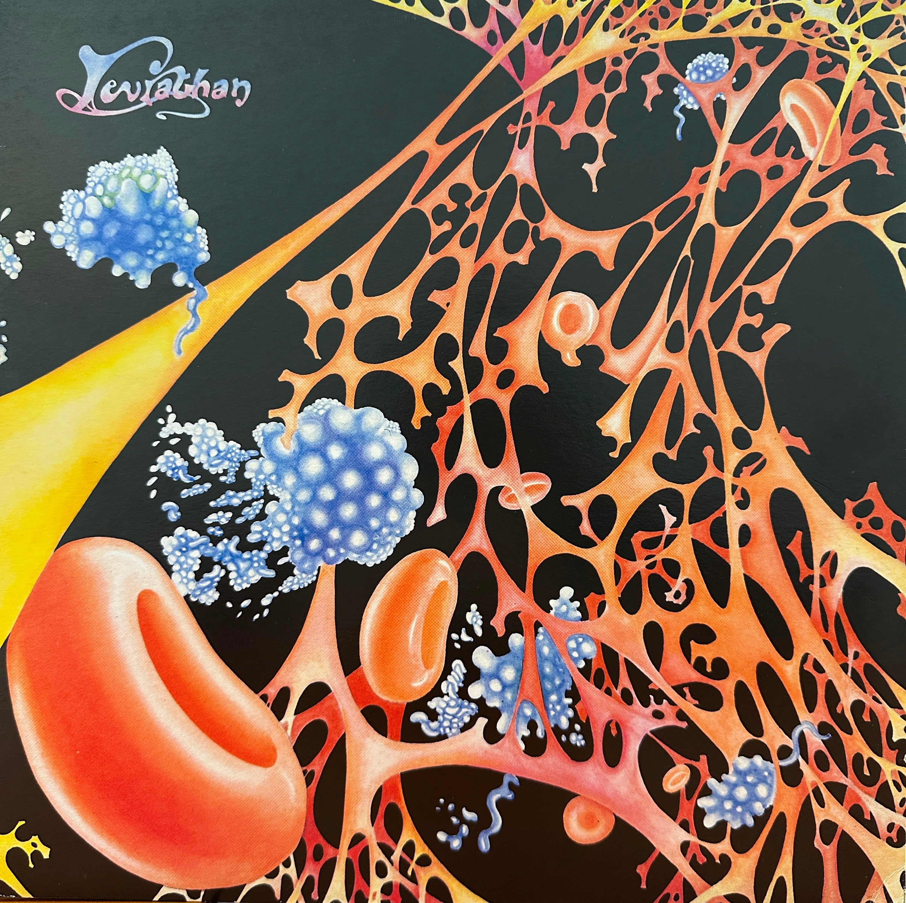 【LP】LEVIATHAN/Heartquake | SORC 中古アナログレコード専門店