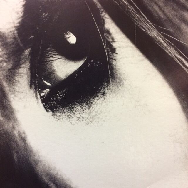 Sugizo – Lucifer YMR | Pay ID