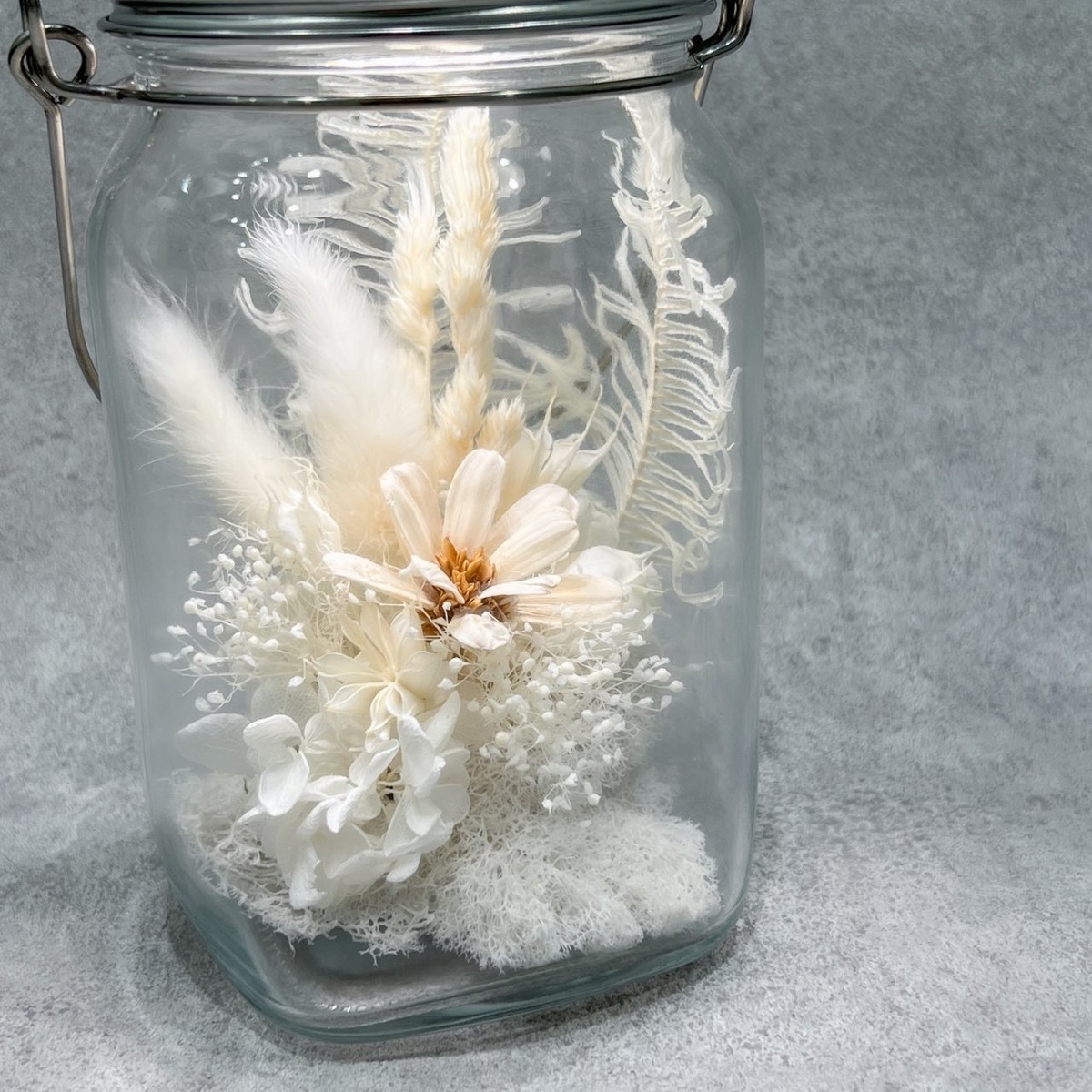 plantern-プランタン- WHITE | planteiss